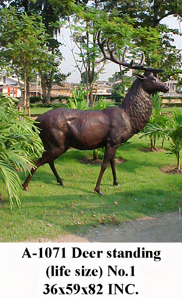 A 1071 Deer Standing Life Size