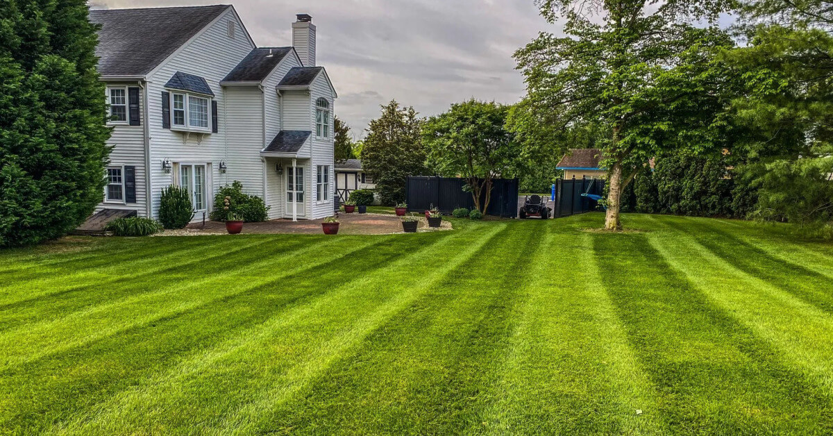 Professional Lawn Mowing | Wilmington, Delaware