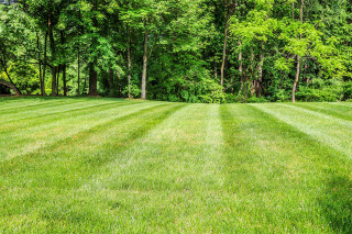 Delaware Landscaping Company | All Your Outdoor Needs