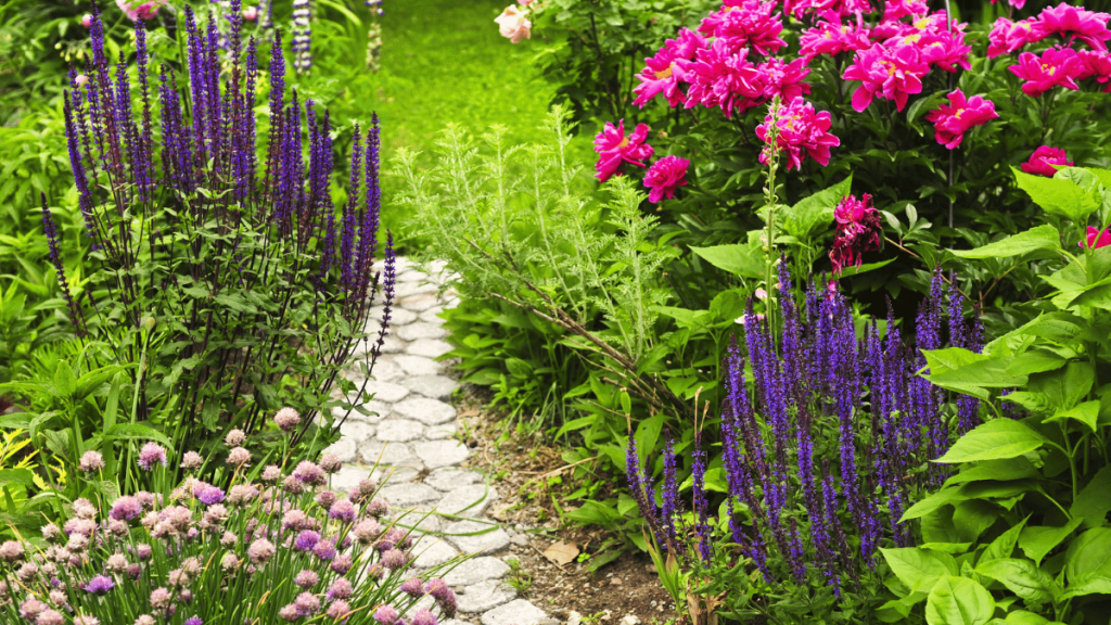 Perennial Flowers That Bloom All Summer | Strobert Tree Services
