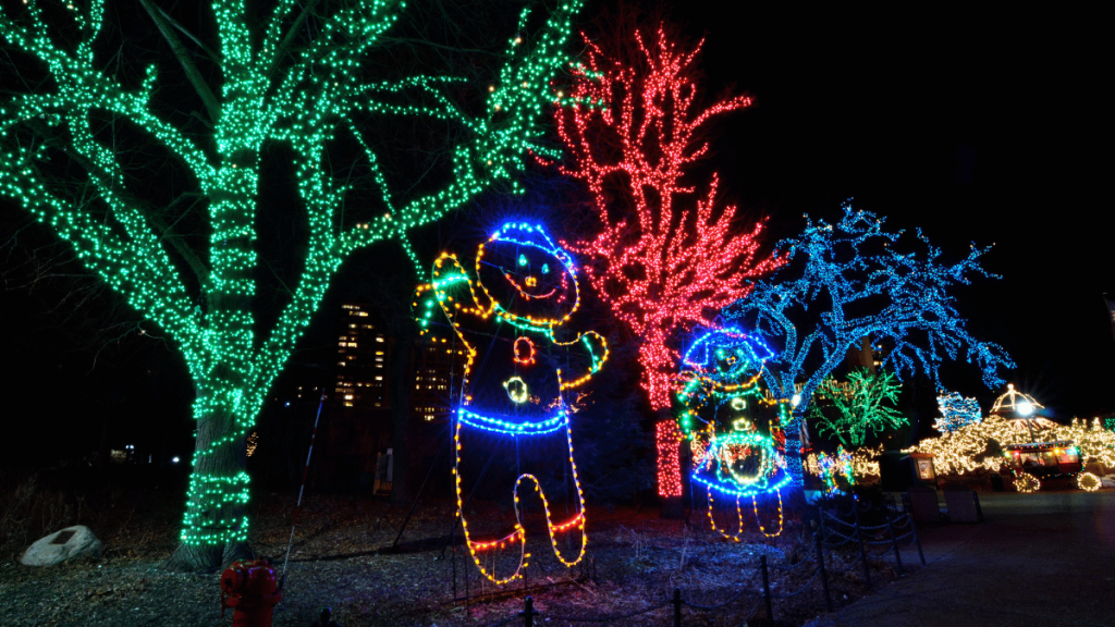 How to Put Lights on a Christmas Tree | Strobert Tree Services