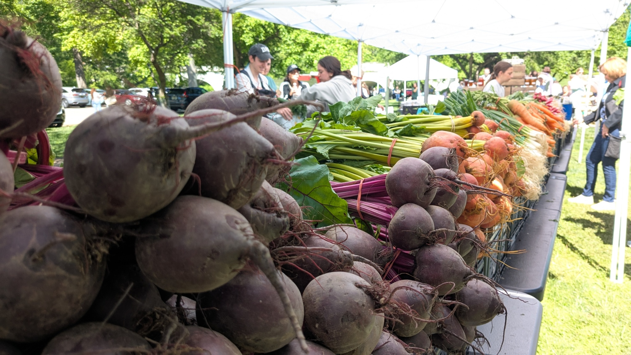Brandywine Park Farmers Market | A 2025 Guide